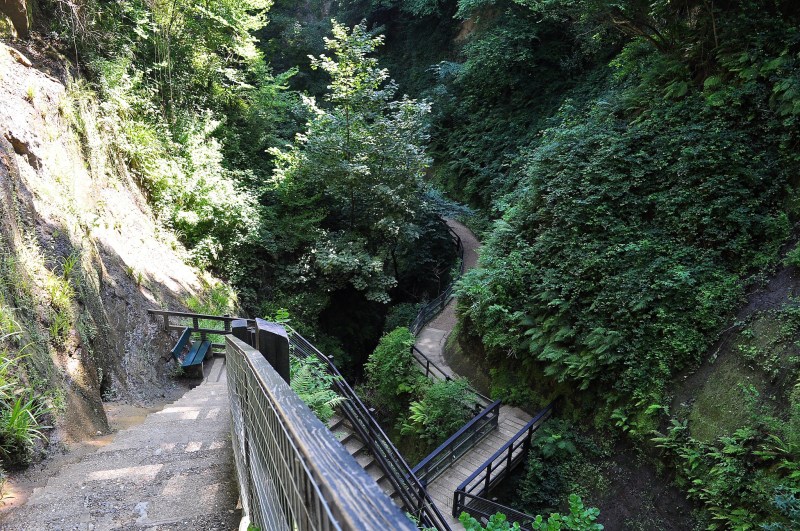 Glorious Shanklin Chine