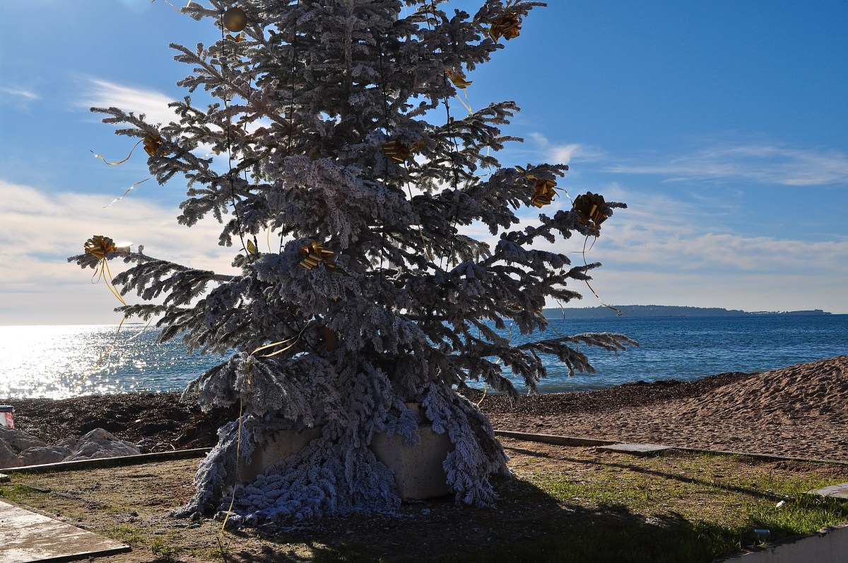 STORY OF THE FIRST CHRISTMAS TREE Technical Specifications & Analysis