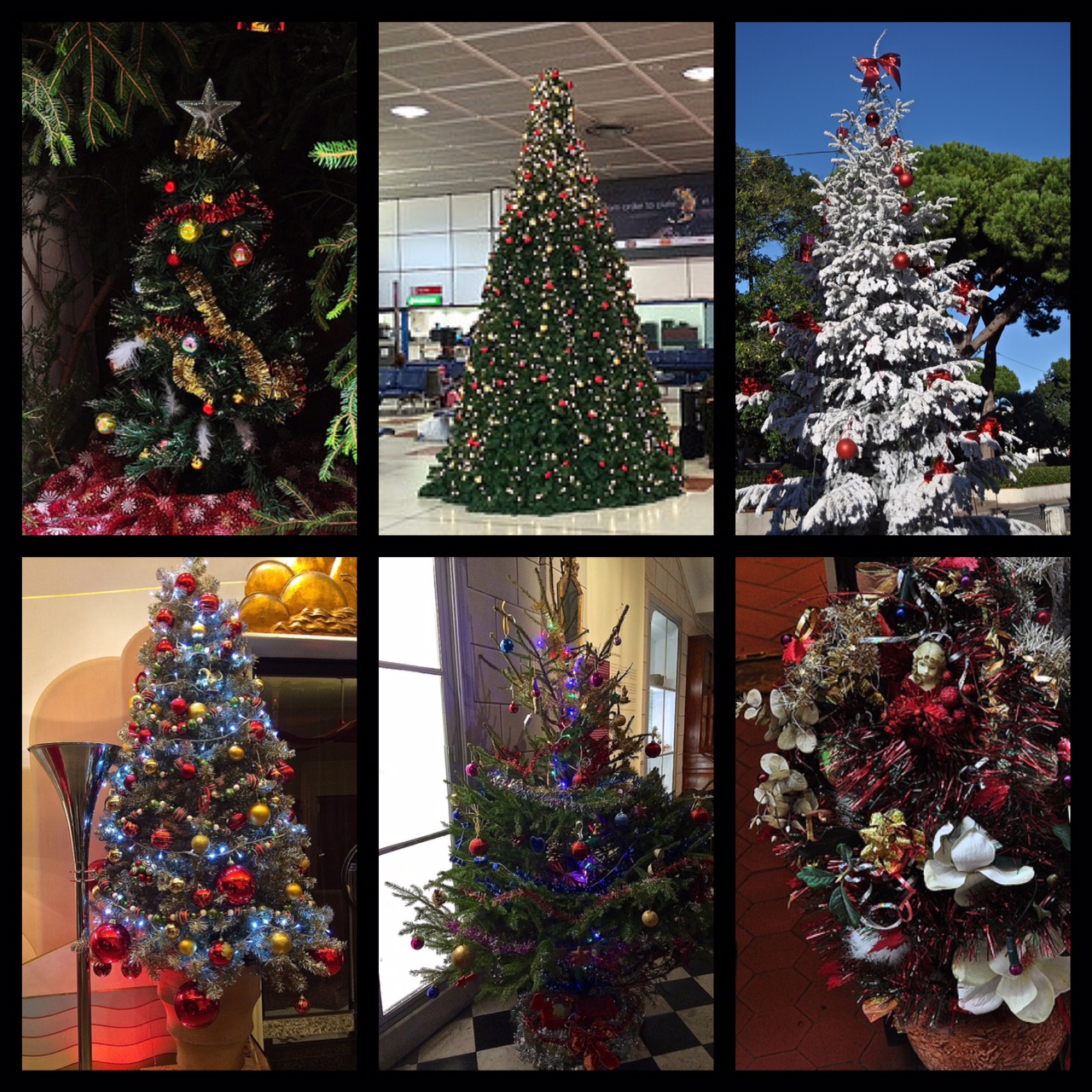 The story of the Christmas Tree